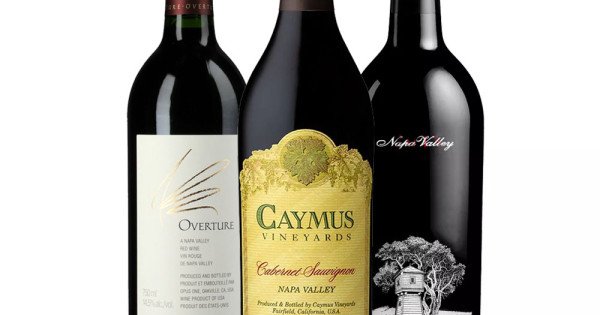 Napa Valley Red Wine Trio Gift Set (Pack of 3)